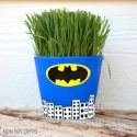 Superhero Grass Pots - Non-Toy Gifts