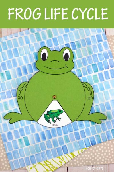 Frog Life Cycle Spinner Wheel For Kids - Non-Toy Gifts