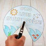 Who Lives In The Ocean? Spinner Craft For Kids - Non-Toy Gifts
